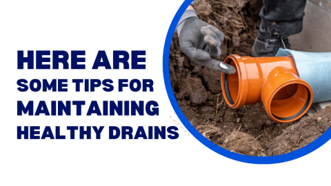 Tips for Maintaining Healthy Drains